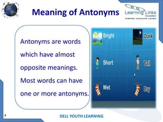 Antonyms | PPTX