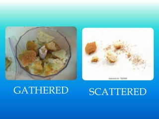 ANTONYMS - THE PORTRAIT OF LADY | PPT