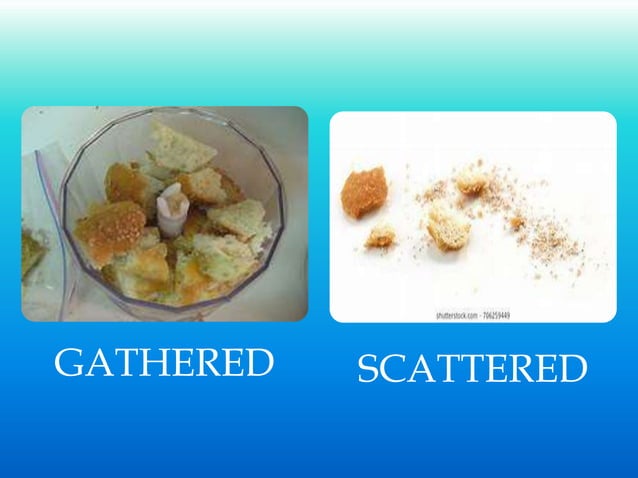 ANTONYMS - THE PORTRAIT OF LADY | PPT