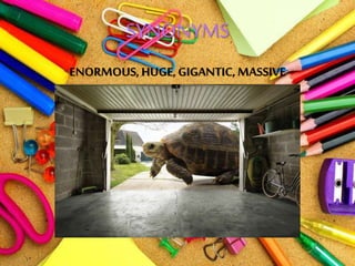 Antonyms and Synonyms | PPTX