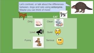 Antonyms and Synonyms PowerPoint for ESL | PPTX