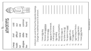 Antonyms and Synonyms PowerPoint for ESL | PPTX