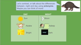 Antonyms and Synonyms PowerPoint for ESL | PPTX