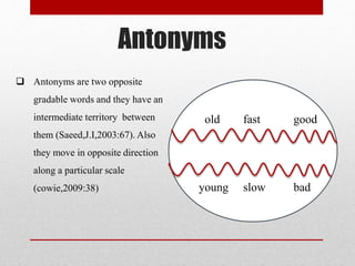 Antonymy | PPTX