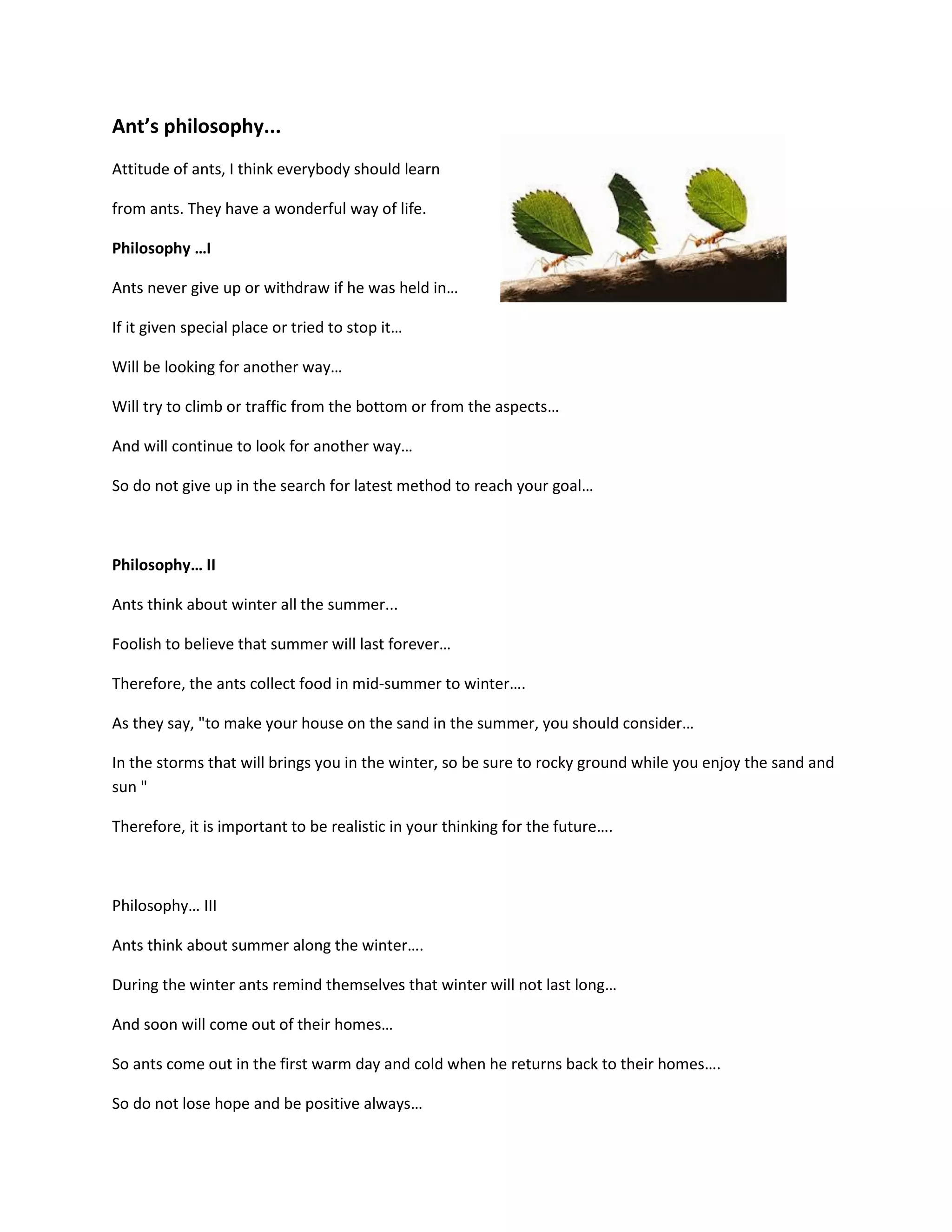 Ants philosophy | PDF