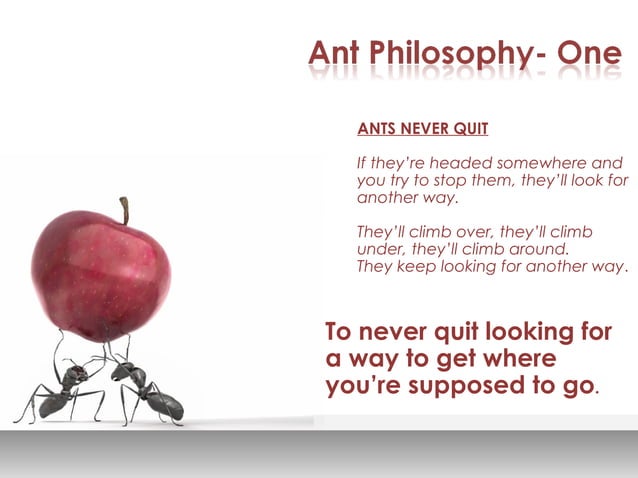 Ant philosophy | PPT