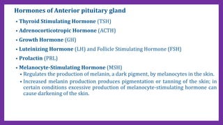 Ant pituitary hormones | PDF