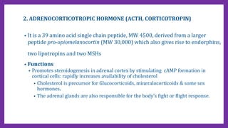 Ant pituitary hormones | PDF
