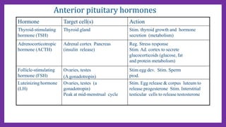 Ant pituitary hormones | PDF