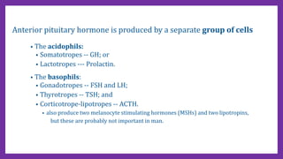 Ant pituitary hormones | PDF