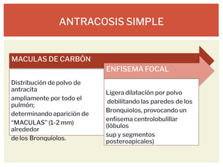 antracosis dra. Jáuregui.pdf