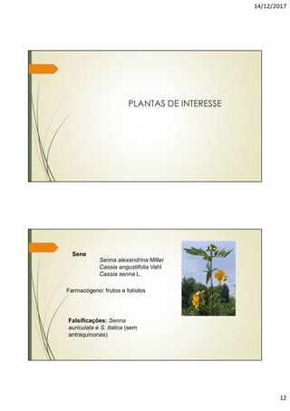 Antraquinonas | PDF