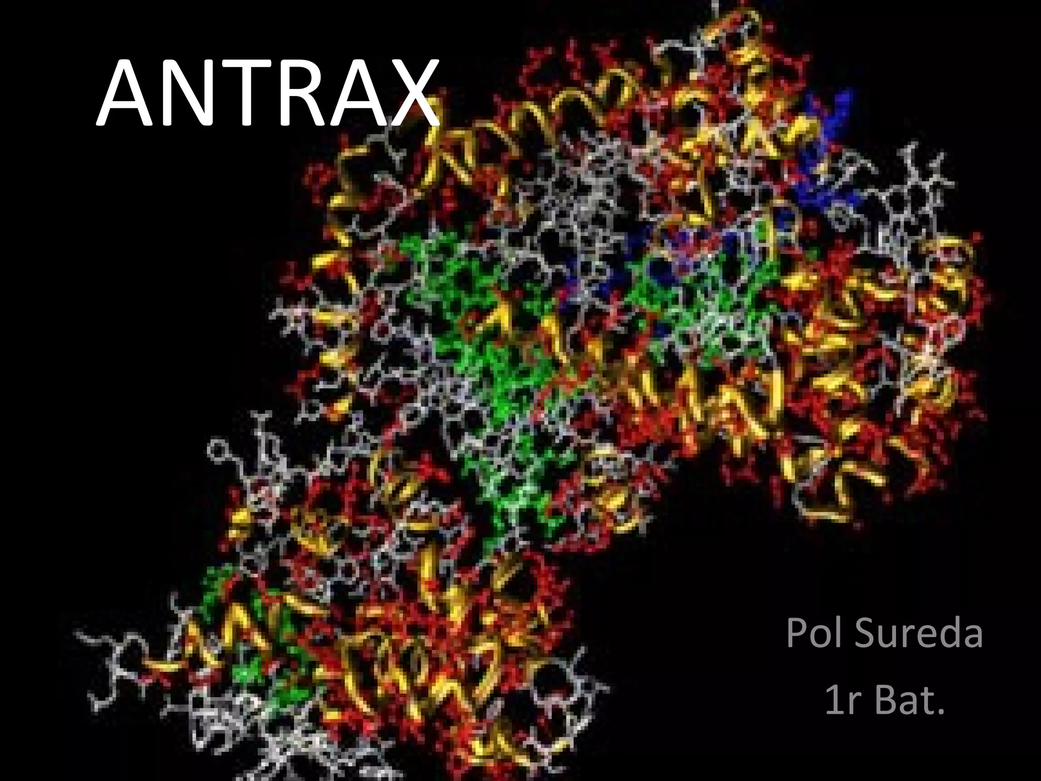 Power sobre la malaltia ANTRAX | PPT