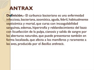 ANTRAX enfermedades de los animales domést .pptx