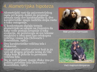Antropogeneza-evolucija nagosti kod anatomski savremenog čoveka | PPT