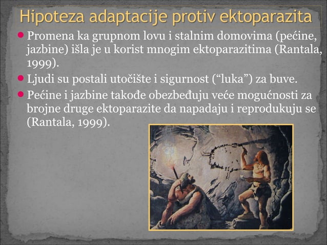 Antropogeneza-evolucija nagosti kod anatomski savremenog čoveka | PPT