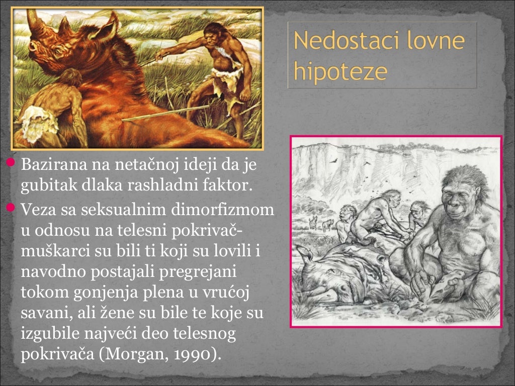 Antropogeneza-evolucija nagosti kod anatomski savremenog čoveka