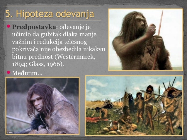 Antropogeneza-evolucija nagosti kod anatomski savremenog čoveka