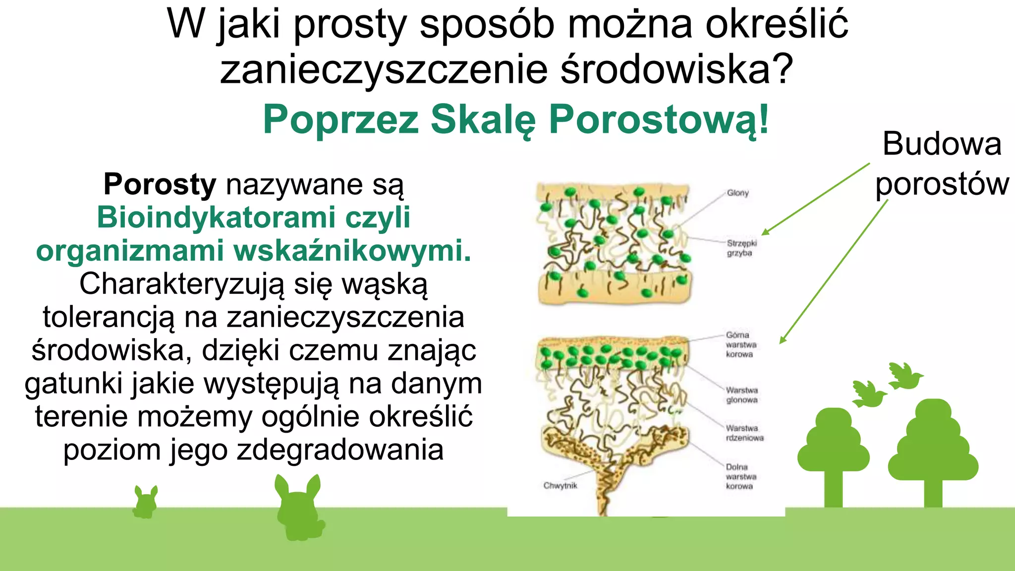 Antropogeneza porosty.pptx