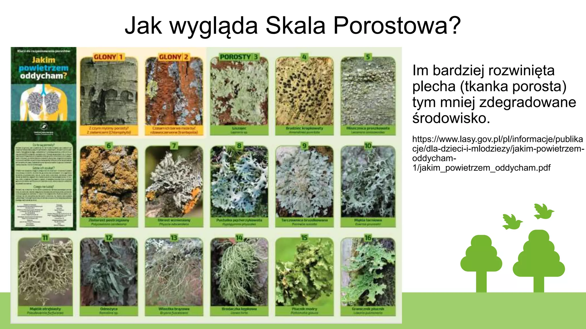 Antropogeneza porosty.pptx