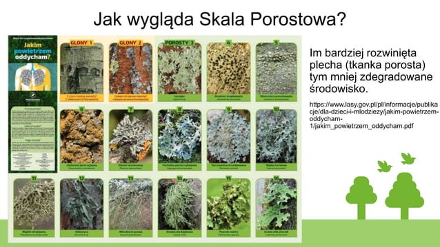 Antropogeneza porosty.pptx