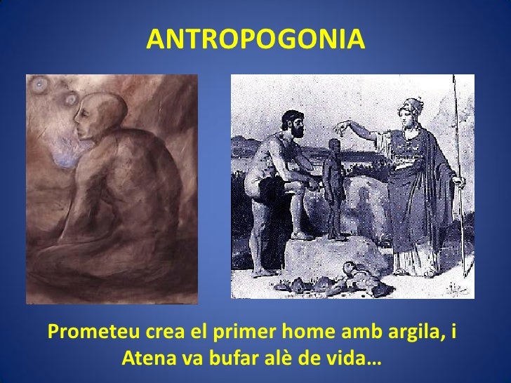 Antropogonia imatges