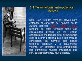 AntropologíA Biblica | PPT
