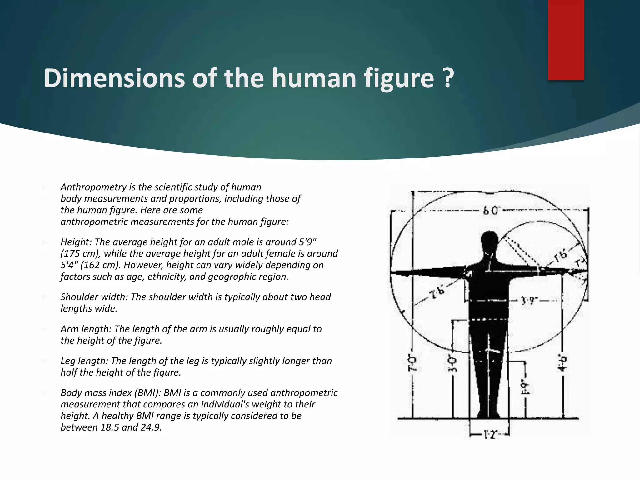 Antropomentry PPT NEW 01.pptx | Men\'s Health | Healthy Living