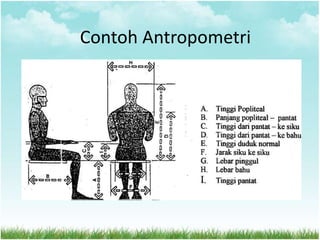 Antropometri | PPTX