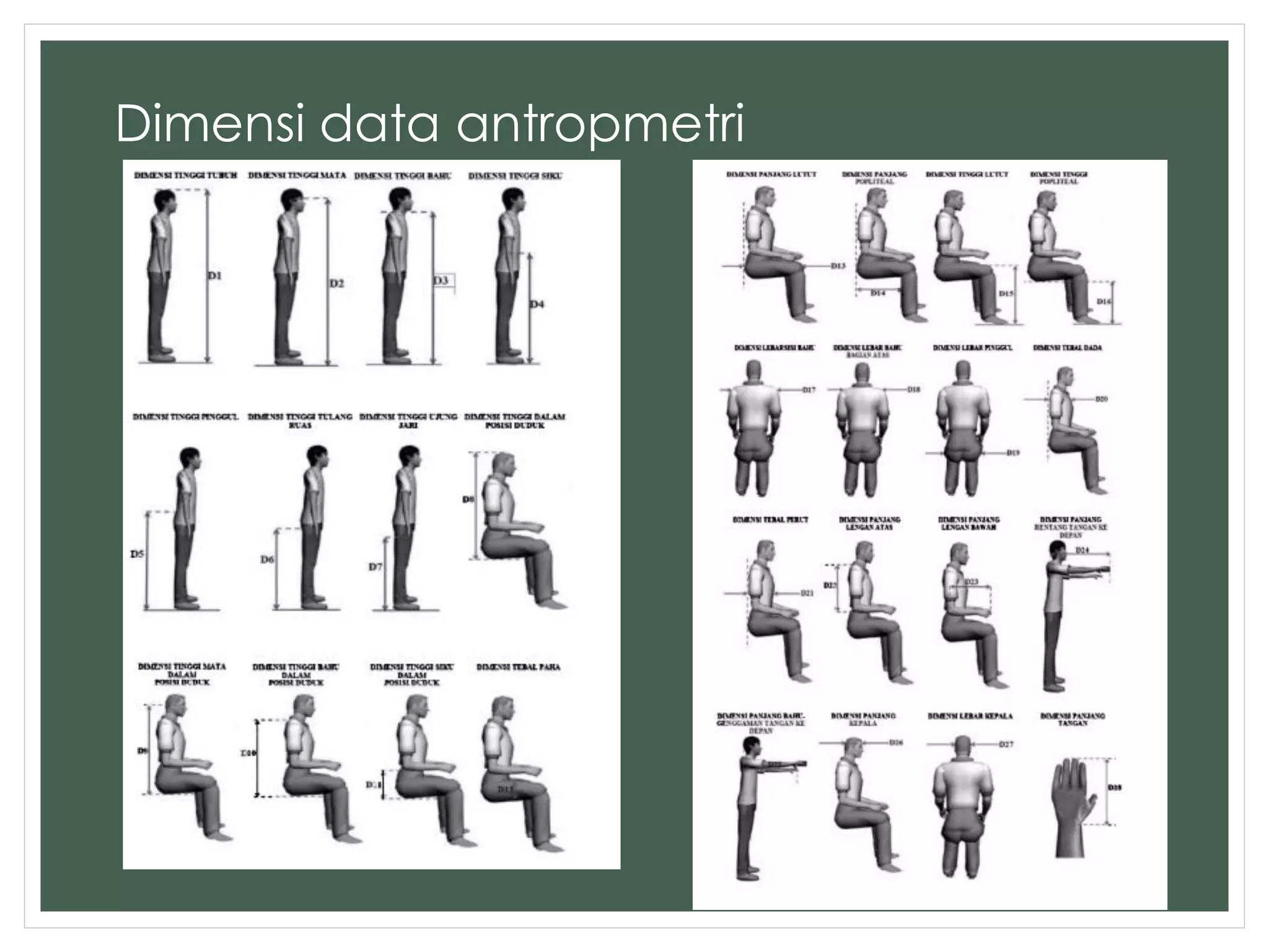 Antropometri Pdf