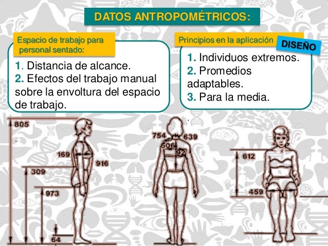 Antropometria