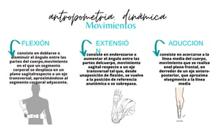 Antropometria | PPTX