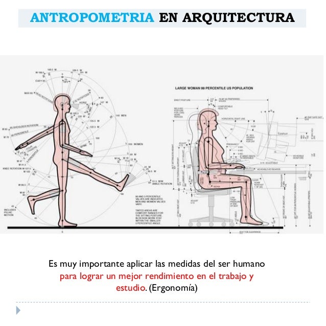Antropometria arquitectónica