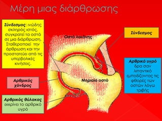 Κινηση- στηριξη στον άνθρωπο | PDF