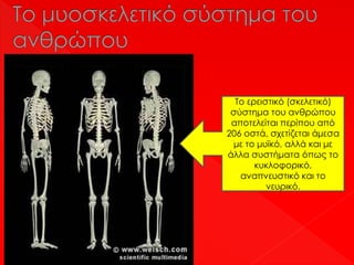 Κινηση- στηριξη στον άνθρωπο | PDF