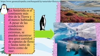 Antártida .pdf