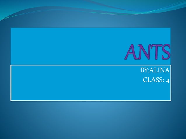 Ants | PPT
