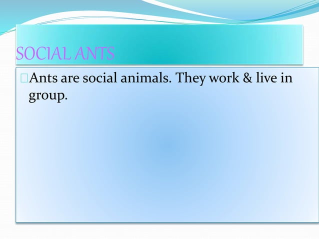 Ants | PPT