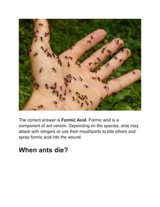 Lifespan of Ants | PDF