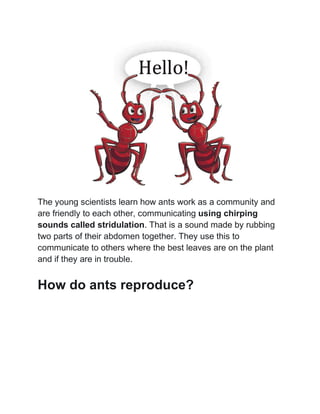 Lifespan of Ants | PDF