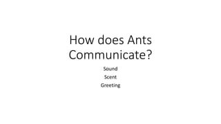 Ants - linguistic.pptx