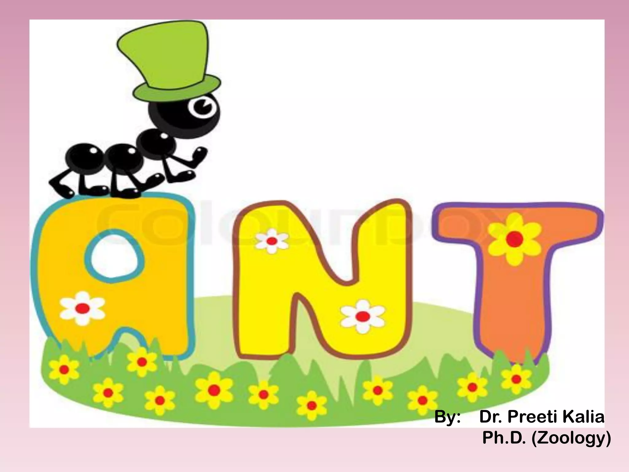 Ants - Social organisation and types of nests | PDF