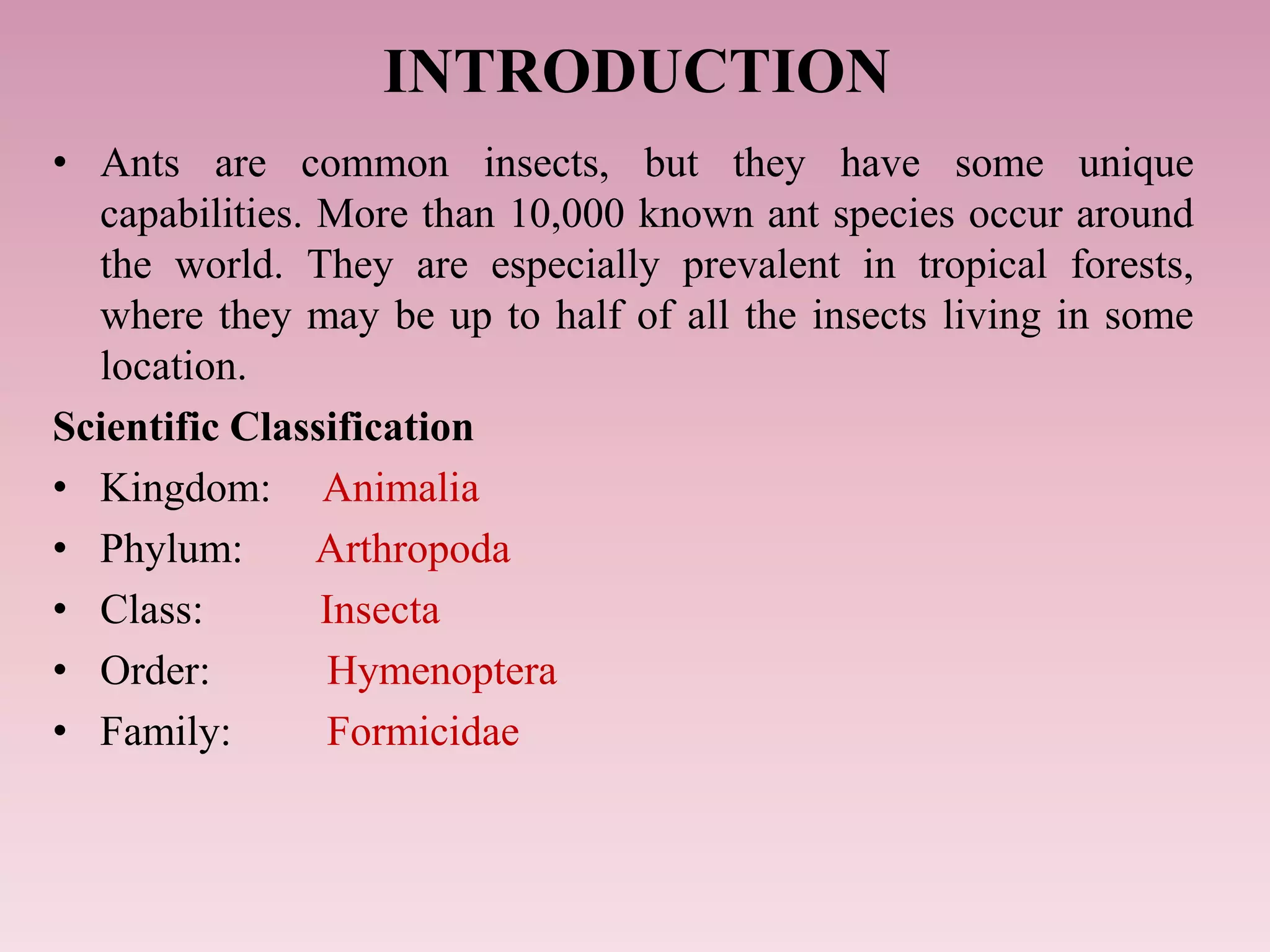 Ants - Social organisation and types of nests | PDF
