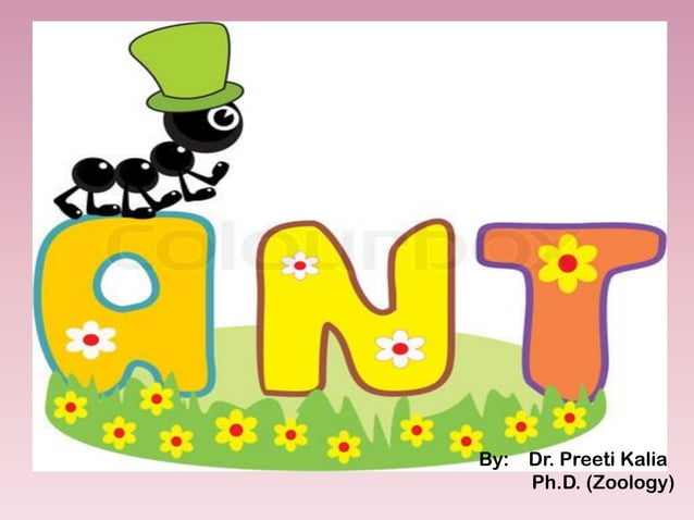 Ants - Social organisation and types of nests | PDF | Reproductive ...