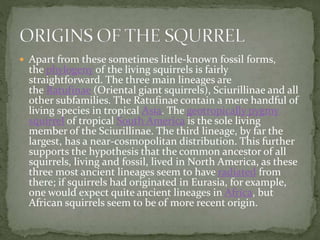 Ants and squirrels the super ppt | PPTX