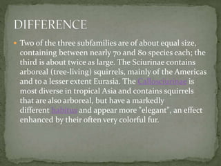 Ants and squirrels the super ppt | PPTX