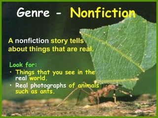 Antscompress.ppt picture story with vocabulary | PPT