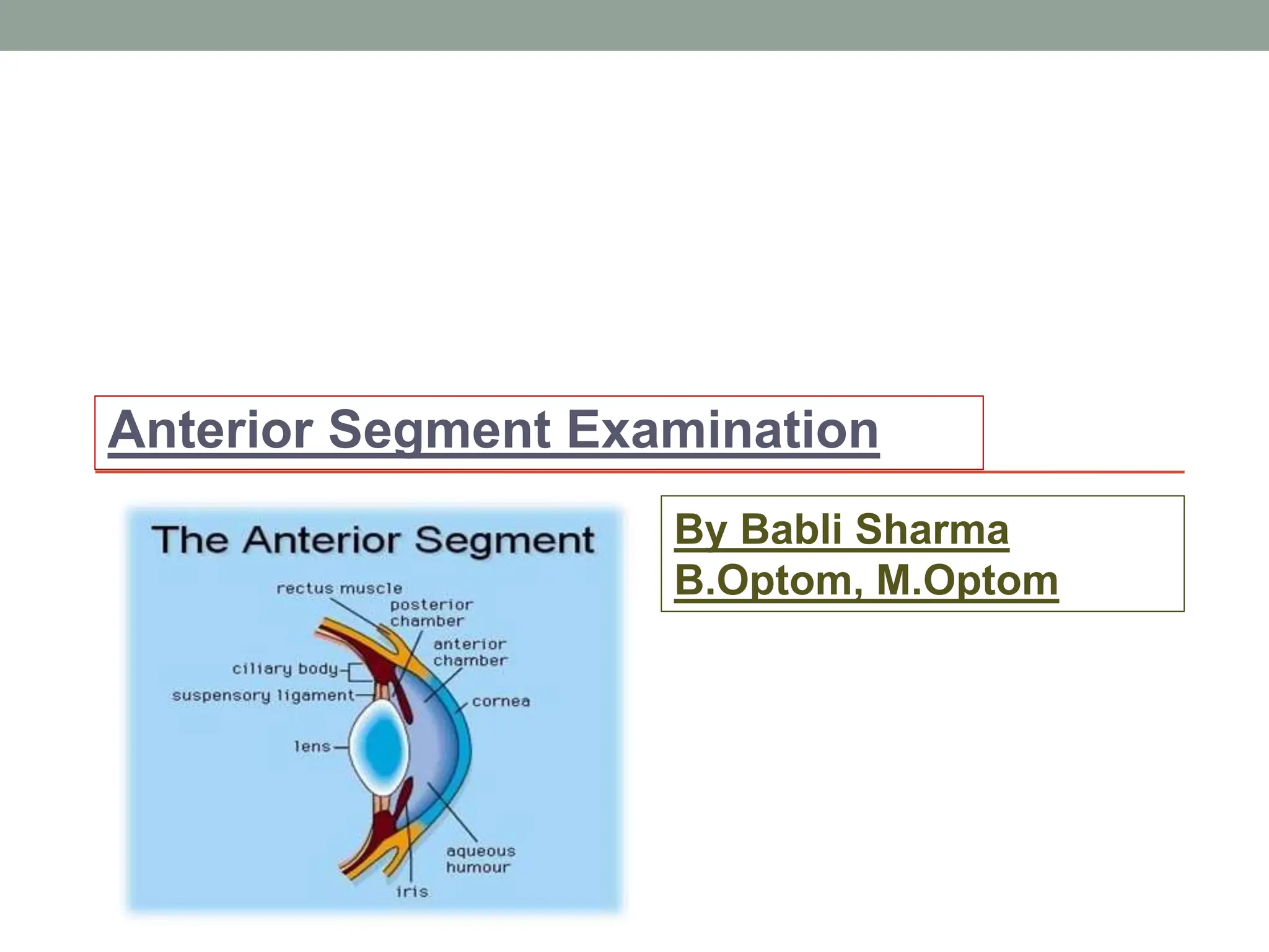 ANTERIOR SEGMENT EXAMINATION.PPTX....... | PPT