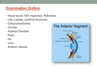 ANTERIOR SEGMENT EXAMINATION.PPTX....... | PPT