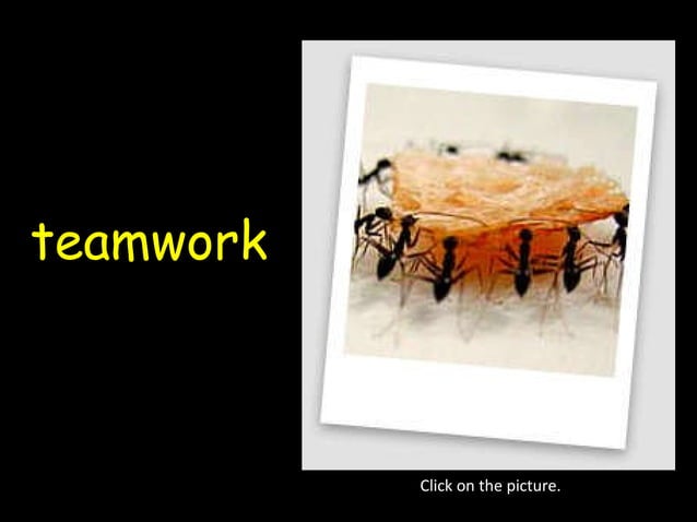 Ants for grade 2 | PPT